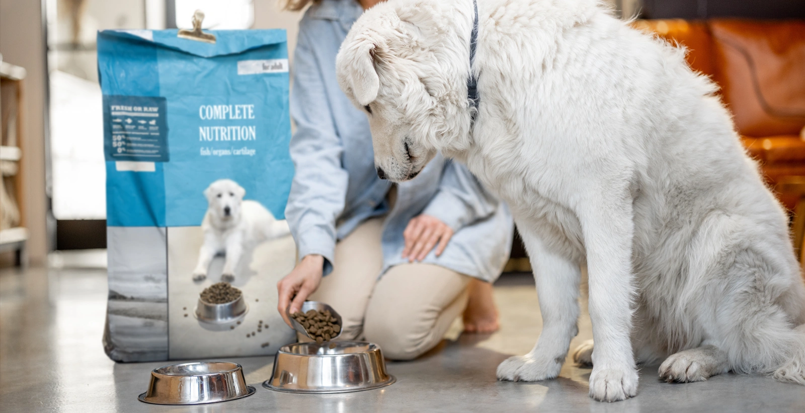 ¿Cómo leer los ingredientes del alimento para perros?