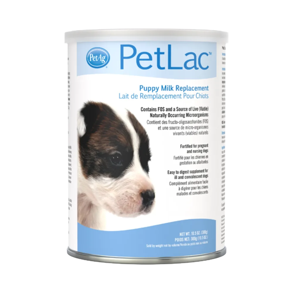 Que Tipo De Leche Le Puedo Dar A Mi Cachorro