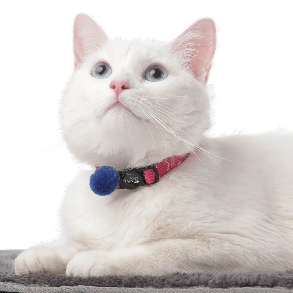 Collar Meow Totto - PetServi