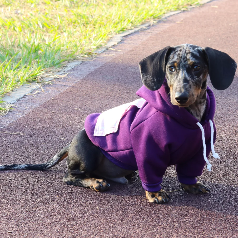 Buzo Morado - PetServi