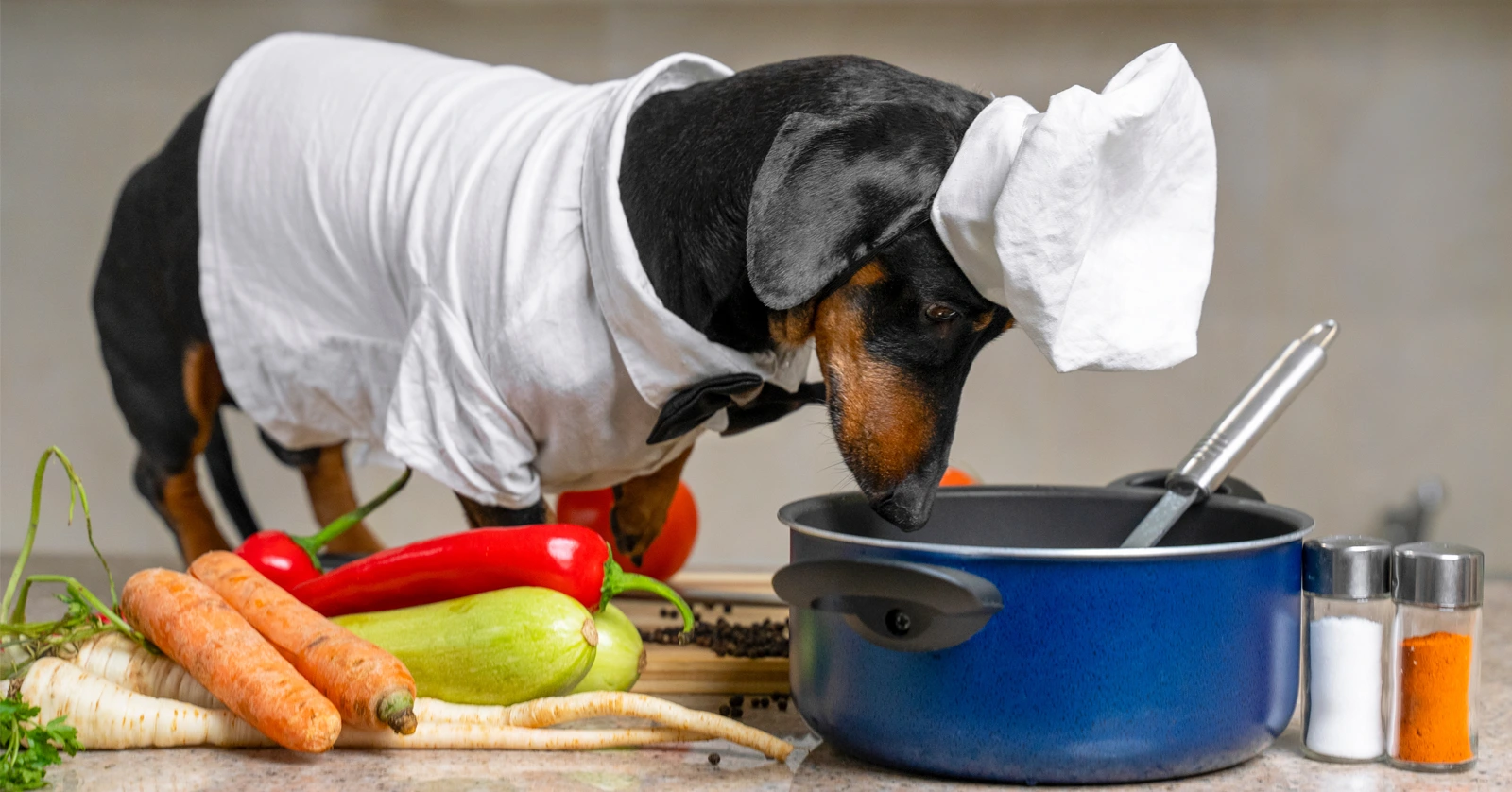 Sal para perros y gatos - PetServi